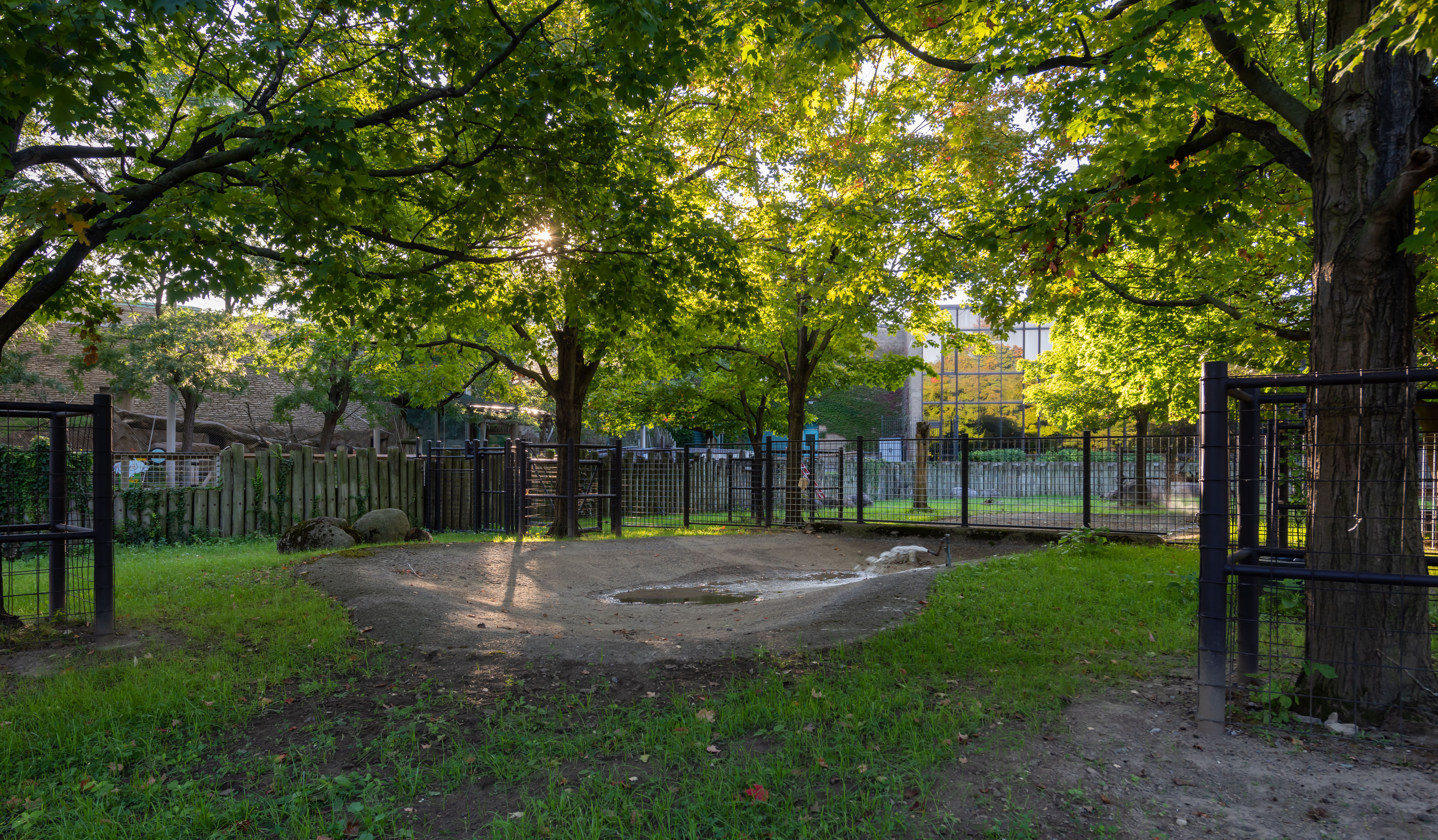 Buffalo Zoo, Bison Exhibit Renovation | Projects | Turner Construction ...